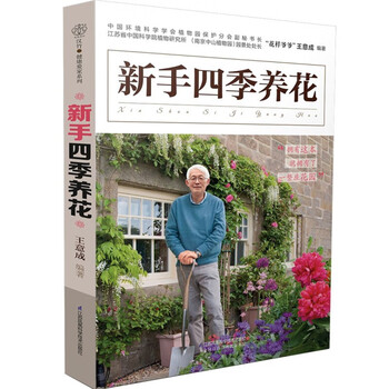 新手四季养花