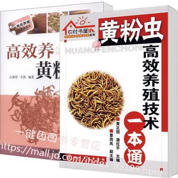 黄粉虫高效养殖技术一本通+高效养黄粉虫 黄粉虫养殖技术书 黄粉虫高效养殖与加工利用一学就会教程 黄粉