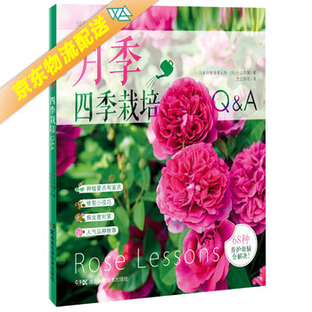 小空间花园设计 月季四季栽培Q&A