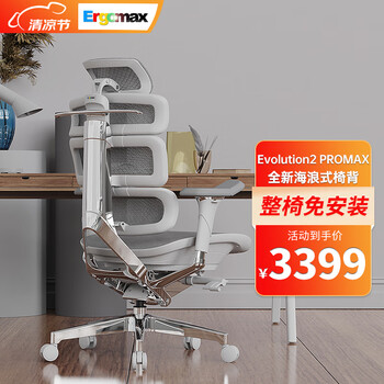 Ergomax Evolution2 PROMAX人体工学电脑椅网椅家用办公椅子电竞椅游戏椅 PROMAX版 雅典灰【图片 价格 品牌 报价】-京东