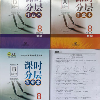 2022春课时分层作业本 深圳专版 八年级 下学期 D部分
