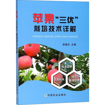 苹果