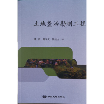 土地整治勘测工程 大地出版社
