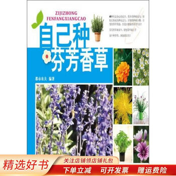 自己种芬芳香草 都市农夫