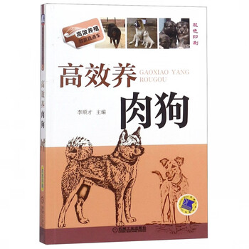 高效养肉狗(双色印刷)/高效养殖致富直通车