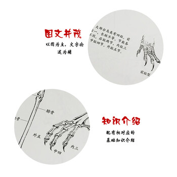 白描禽鸟/白描画谱