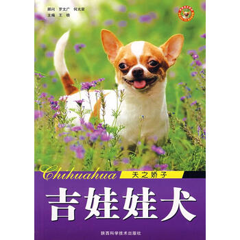 吉娃娃犬:天之骄子 家居 王晓 陕西科学技术出版社 9787536943476