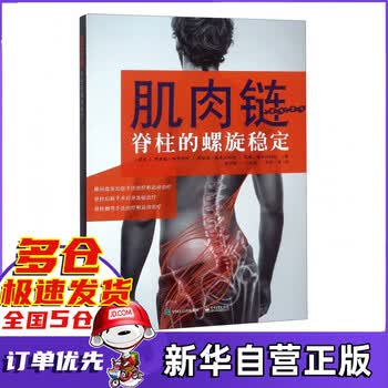 肌肉链(脊柱的螺旋稳定)