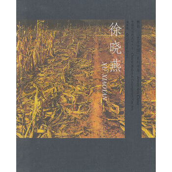 徐晓燕:中国当代美术大系油花卷