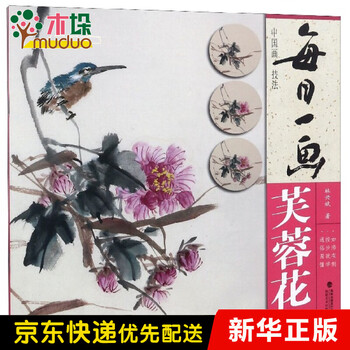 每日一画(芙蓉花)/中国画技法
