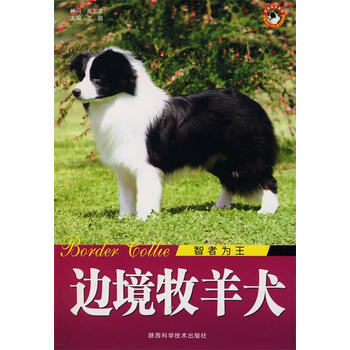 边境牧羊犬智者为王 王晓【正版书】