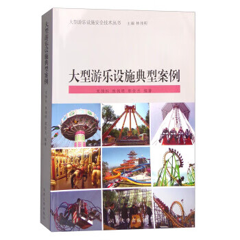 大型游乐设施典型案例【正版图书，放心购买】