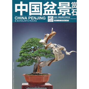中国盆景赏石2012-10