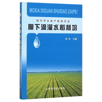 膜下滴灌水稻栽培(现代节水高产高效农业)