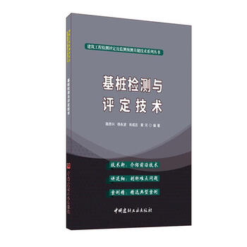 基桩检测与评定技术  路彦兴  中国建材工业出版社  建筑 书籍