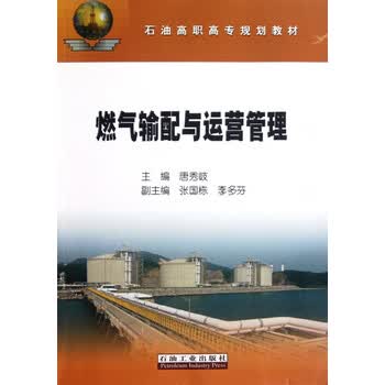 燃气输配与运营管理(石油高职高专规划教材)