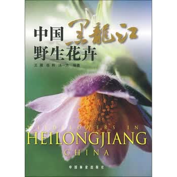 中国黑龙江野生花卉