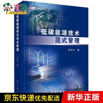 低碳能源技术范式管理