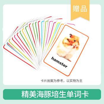 【】海豚培生单词卡（非卖品，拍下，随书不叠加）