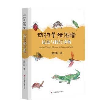 动物手绘图谱 昆虫与爬行动物