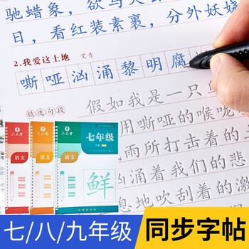 七八九年级上下册凹槽字帖实用部编版同步语文课本初中正楷练字神器反复使用每课一练硬笔书法初学者成年临摹 八年级上册