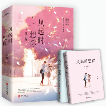 风起时想你