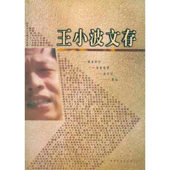 王小波文存 王小波