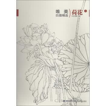 荷花(2)