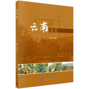 云南油茶
