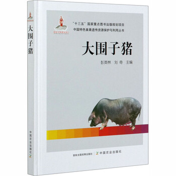 大围子猪