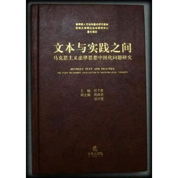 文本与实践之间 付子堂 主编