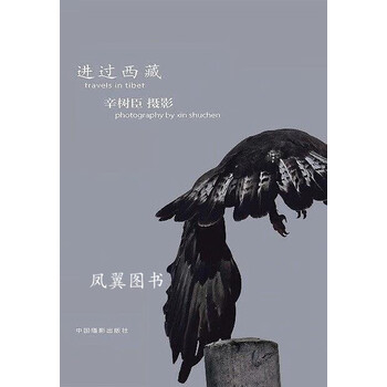 进过西藏 辛树臣 中国摄影出版社