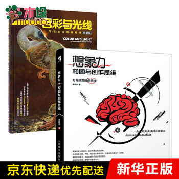 色彩与光线&想象力 构图与创作思维 共2册