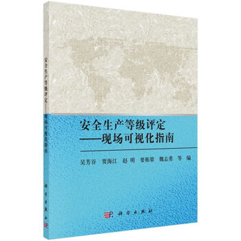 安全生产等级评定--现场可视化指南