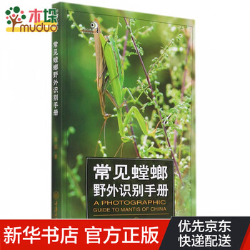 常见螳螂野外识别手册