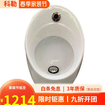 科勒卡丽小便斗K-16321T-Y-0帕蒂欧挂墙式K-16320T-M-0小便池 小便斗+暗装感应直流电【图片 价格 品牌 报价】-京东