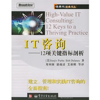 IT咨询12项关键指标剖析——信息化经典书丛
