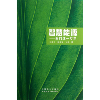 智慧能源--我们这一万年