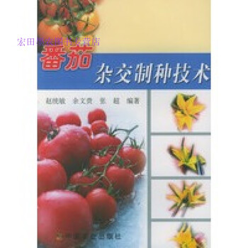 番茄杂交制种技术 张超  赵统敏 余文