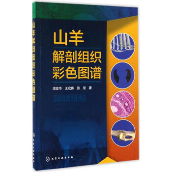 山羊解剖组织彩色图谱 