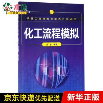 化工流程模拟/卓越工程师教育培养计划丛书