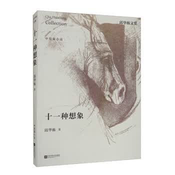 邱华栋文集：十一种想象