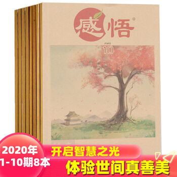 感悟杂志21年-20年共16本青春校园励志文学期刊开启智慧真善美 20年1-12期间10本