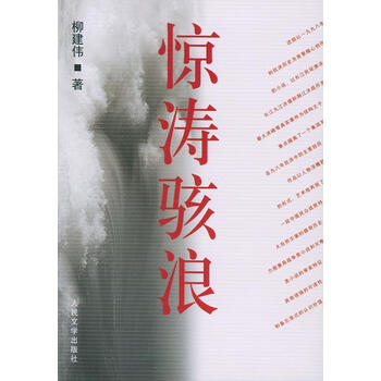 惊涛骇浪【正版图书】
