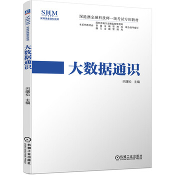 大数据通识 深港澳金融科技师一级考试专用教材 巴曙松教授新作