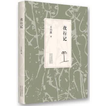 夜行记 王小波