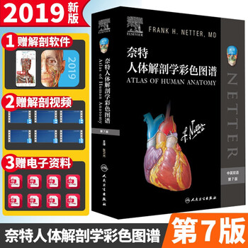 奈特人体解剖学彩色图谱 第7版  解刨学书籍临床医学教材图书中英双语解破学普外全彩涂色格氏耐特人卫图鉴系统局部神经基础法医