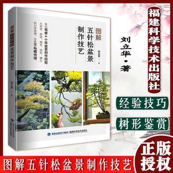 图解五针松盆景制作技艺 刘立华 盆景育苗换盆摘芽修剪蟠扎 日常管理盆景制作赏析福建科学技术出版社97