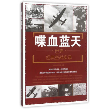 喋血蓝天 世界经典空战实录