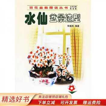 水仙盆景造型 朱振民